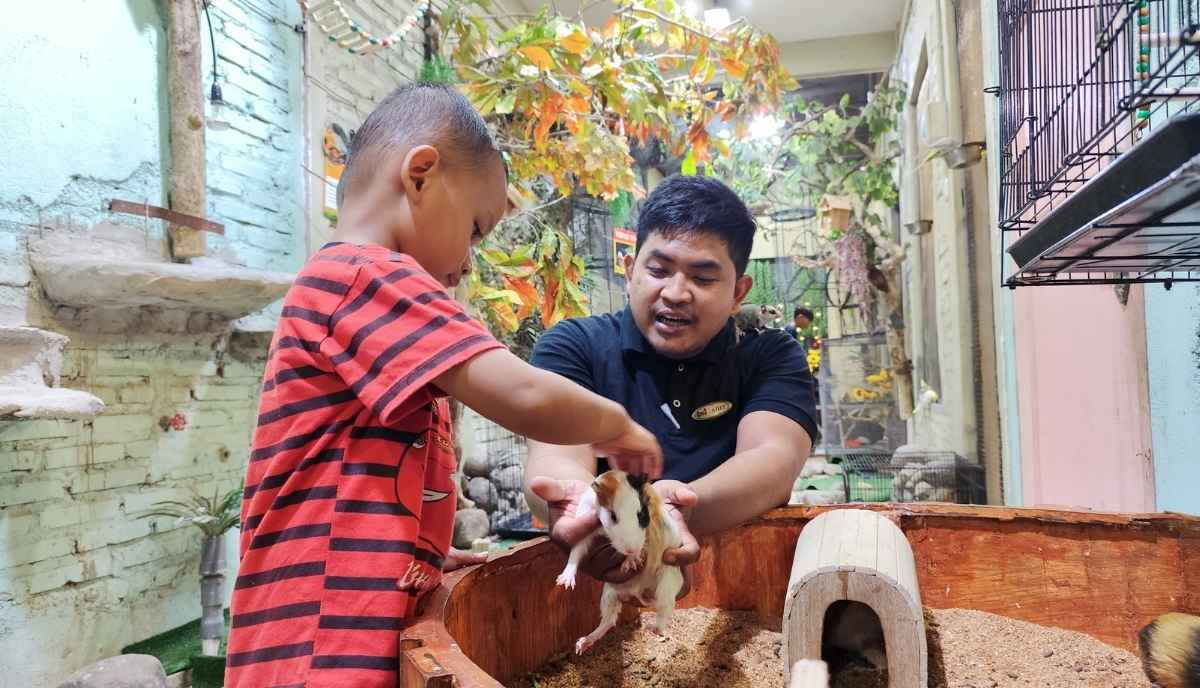 Mini Zoo Koeta Toea Semarang | Interaksi Satwa Jinak Bagi Anak ...